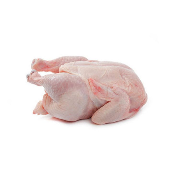 Layer Chicken - ALS FRESH